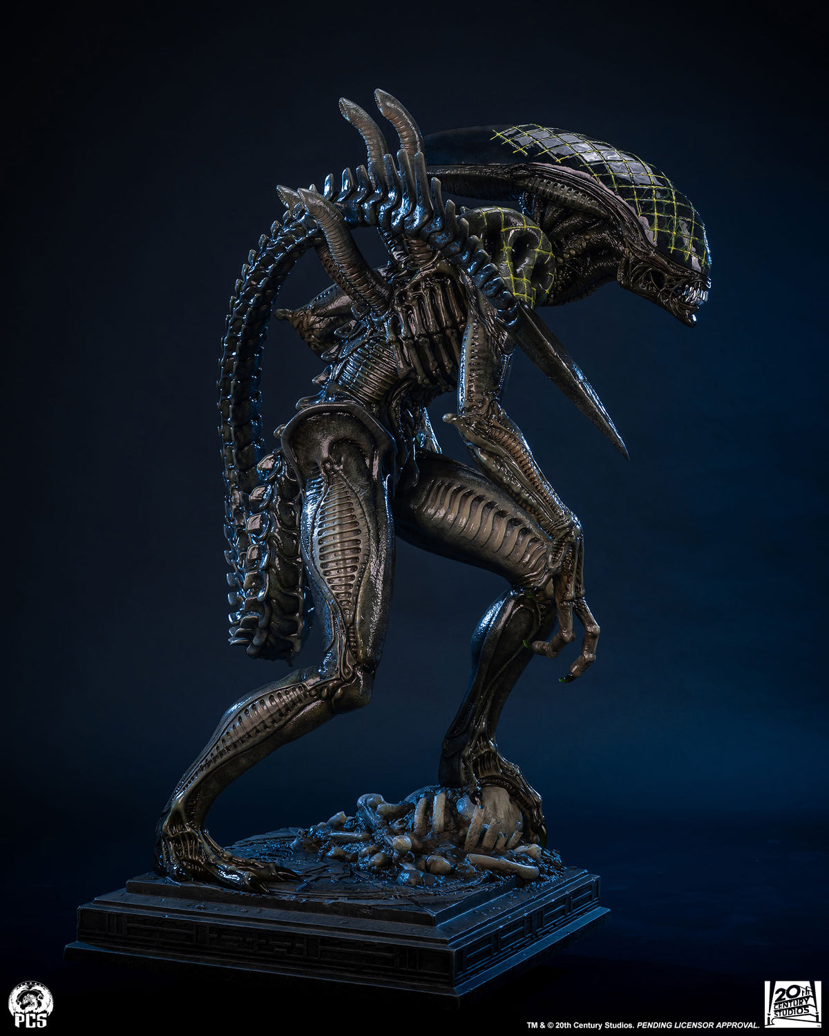 Alien vs. Predator - Grid Alien 1/2 Scale Statue - Spec Fiction Shop