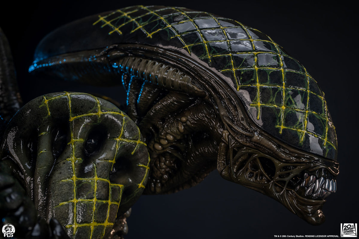 Alien vs. Predator - Grid Alien 1/2 Scale Statue - Spec Fiction Shop