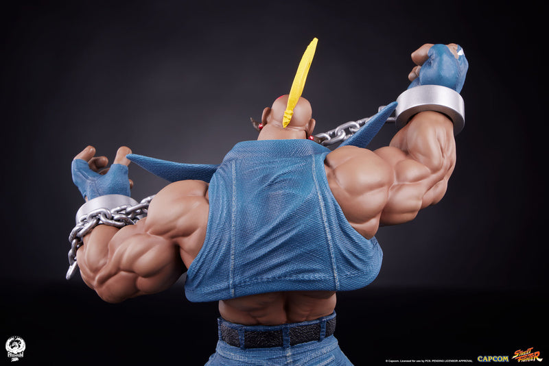 Cammy and Birdie 1/10 Scale Statue Set - Spec Fiction Shop