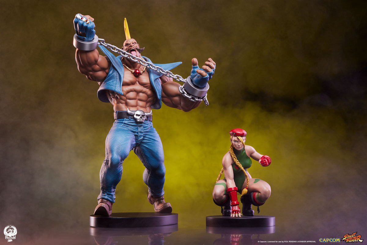 Cammy and Birdie 1/10 Scale Statue Set - Spec Fiction Shop