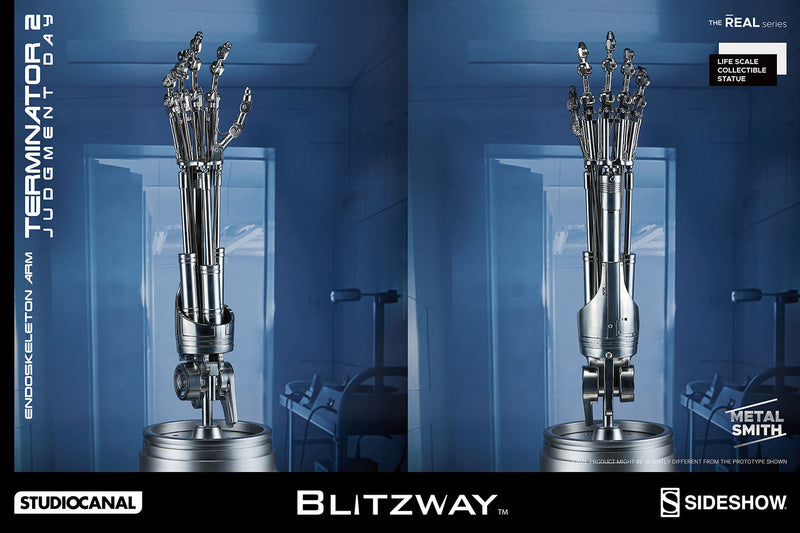 Terminator 2: Judgement Day - T-800 Endoskeleton Arm & Brain Chip Life ...