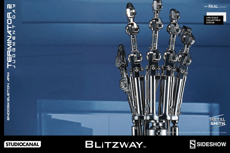 Terminator 2: Judgement Day - T-800 Endoskeleton Arm & Brain Chip Life ...