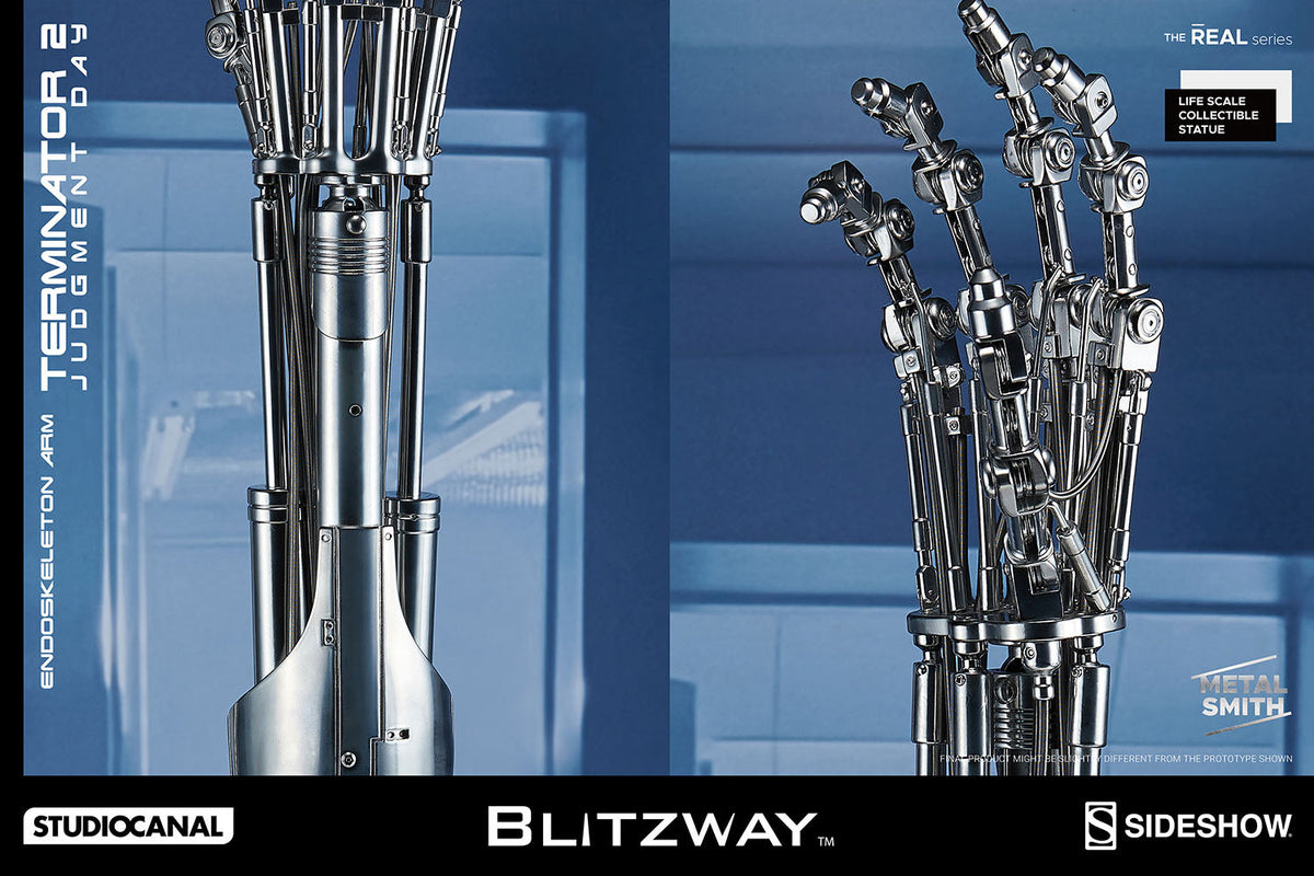 Terminator 2: Judgement Day - T-800 Endoskeleton Arm & Brain Chip Life ...