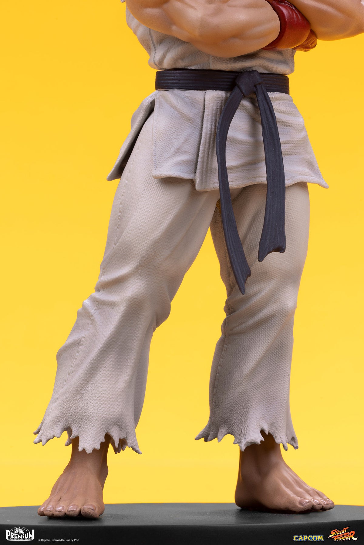 Ryu and Dan 1/10 Scale Statue Set - Spec Fiction Shop