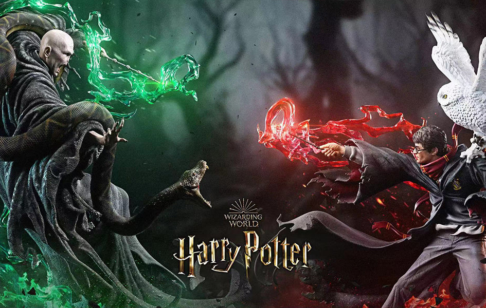 Voldemort Vs Harry Potter Final Battle