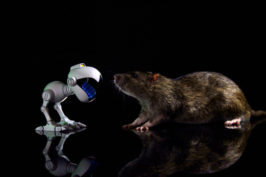 TMNT - Mousers (2 Pack) 1/6 Scale Figures - Spec Fiction Shop