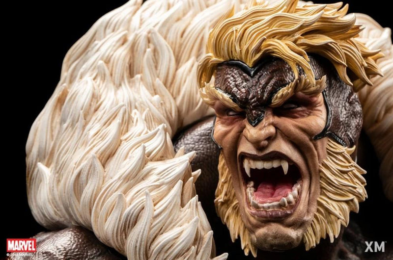 Sabretooth 1/4 Scale Statue (DISPLAYED / LIKE NEW) - Spec Fiction Shop